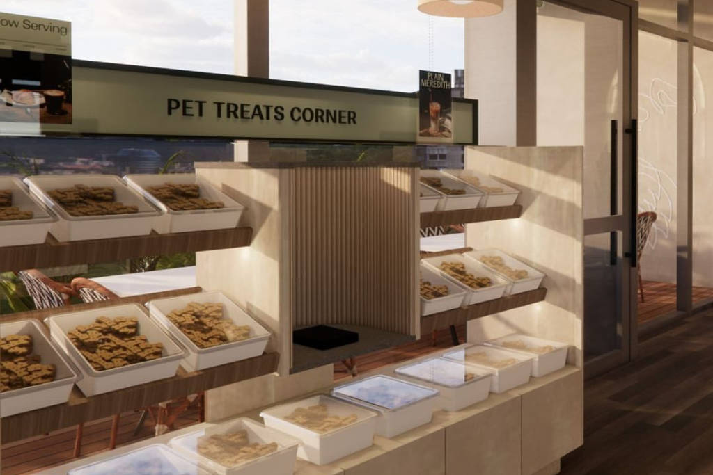 Plain Meredith Is A New Pet-Friendly Brunch Cafe In Singapore