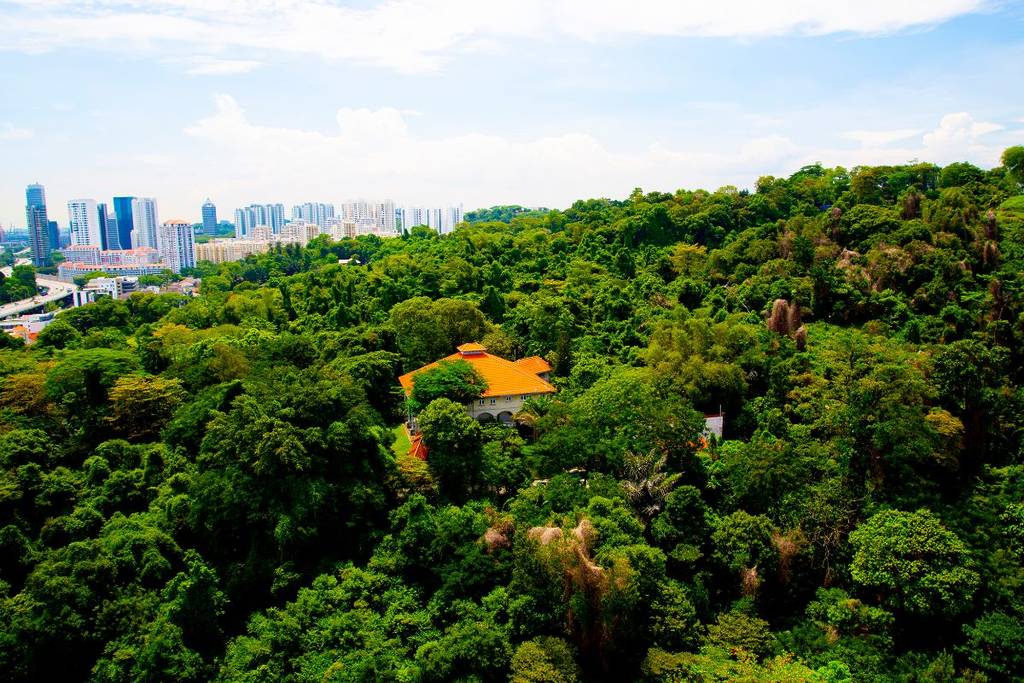 The Best Viewpoints In Singapore For Epic City Views (2025)