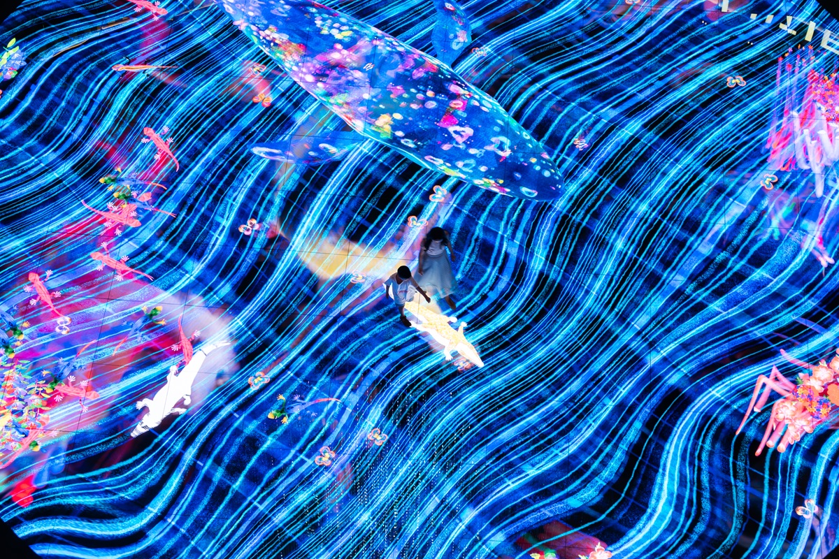 5 Reasons You Need To Visit Digital Light Canvas