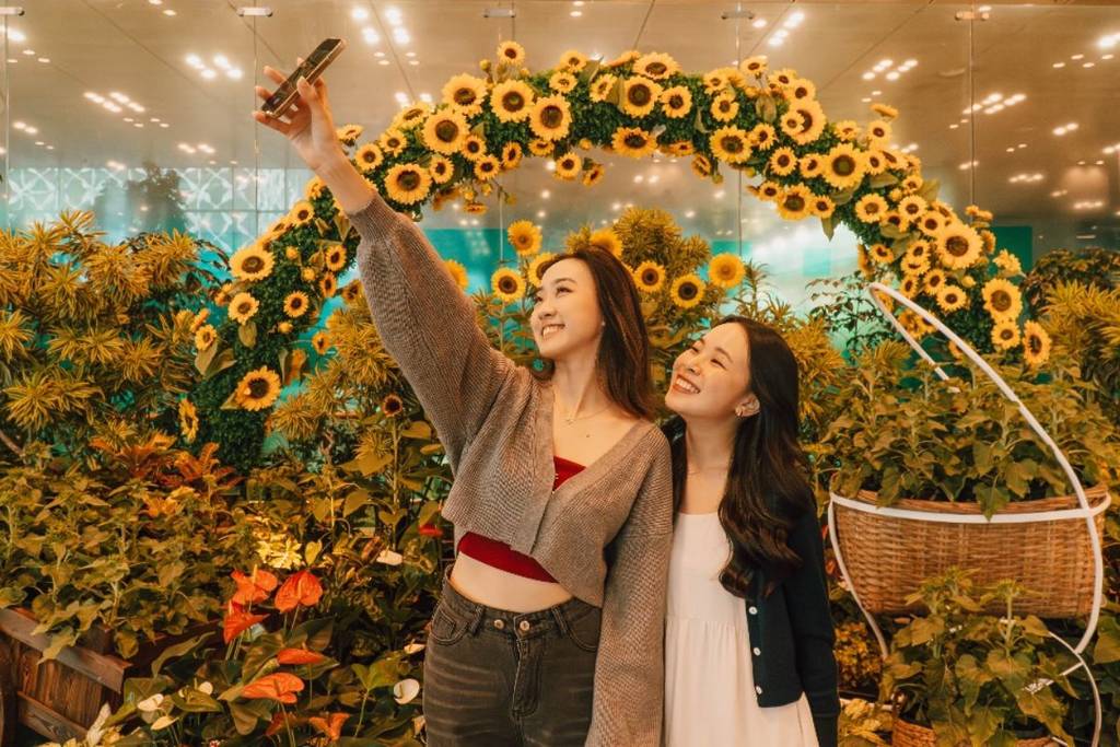 World's Largest Sunflower Display At Changi Airport Singapore
