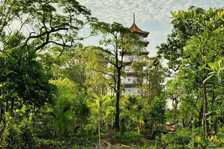 Discover Singapore's New Chinese And Japanese Gardens