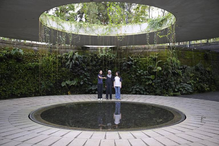 Discover Singapore's New Chinese And Japanese Gardens