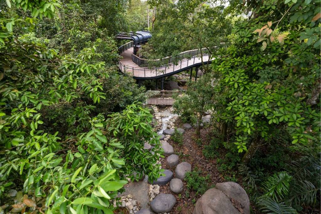 Rainforest Wild Asia Adventure-Based Zoo Park Opens In SG