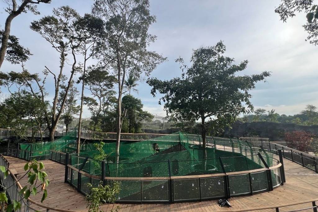 Rainforest Wild Asia Adventure-Based Zoo Park Opens In SG