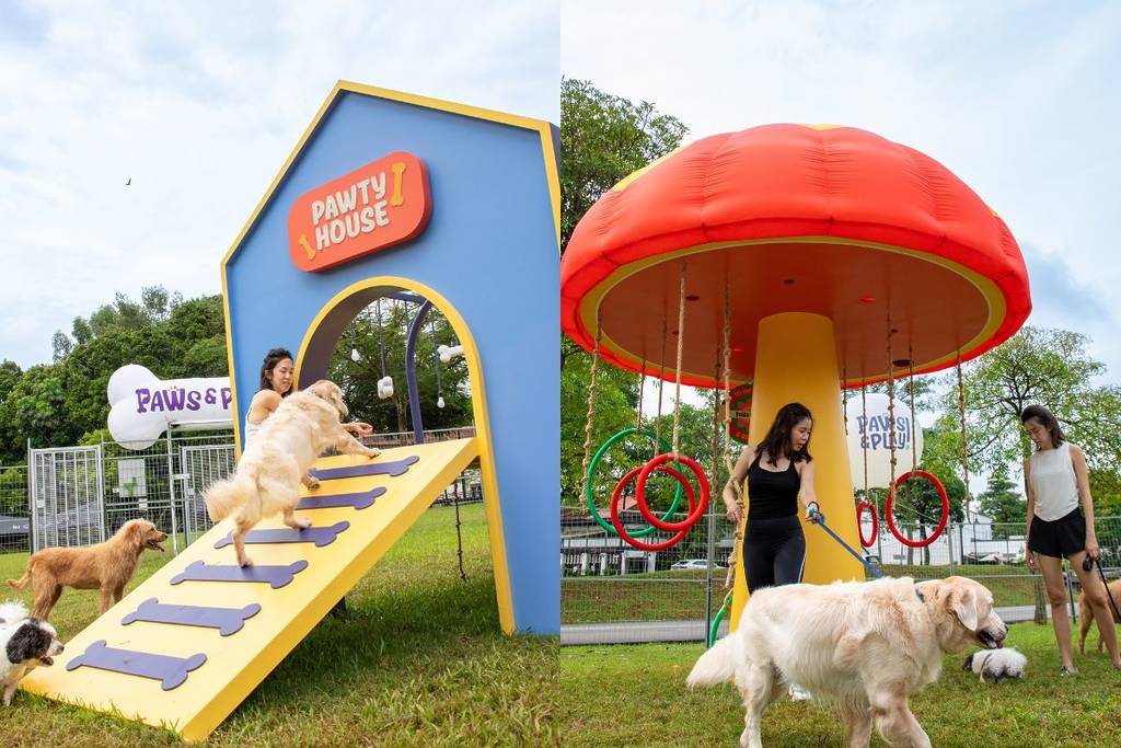 Largest Outdoor Dog Playground Opens In Singapore
