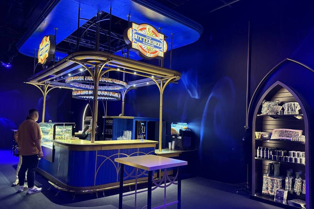 Harry Potter: Visions of Magic Singapore Review