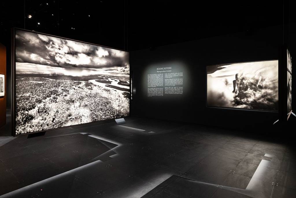 Amazonia: Explore The Amazon Rainforest In Singapore