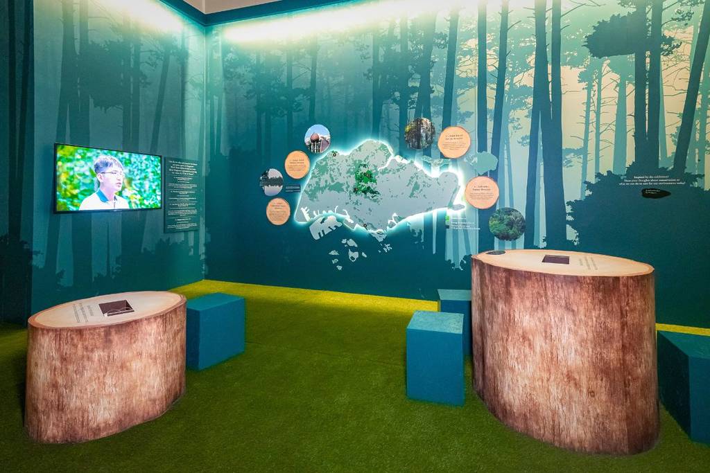 Amazonia: Explore The Amazon Rainforest In Singapore