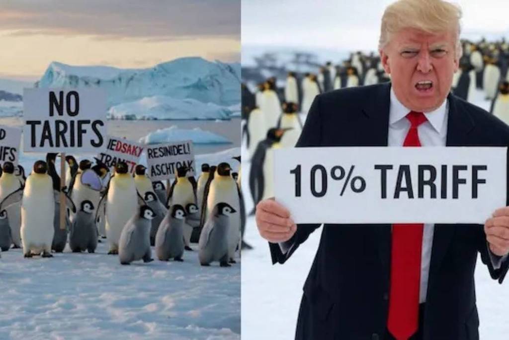 Trump Tariffs Target Penniless Penguins On Uninhabited Islands