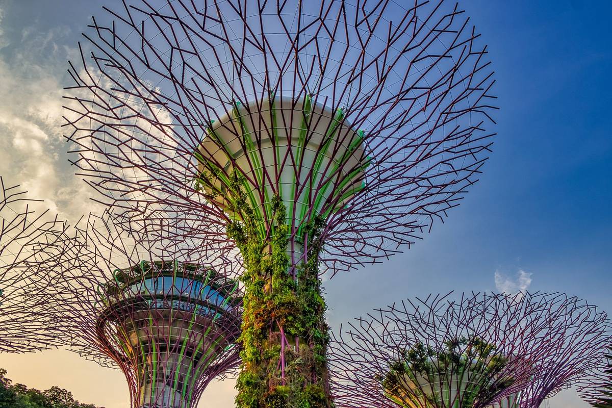 Top 8 Things To Do On A Sunny Day In Singapore