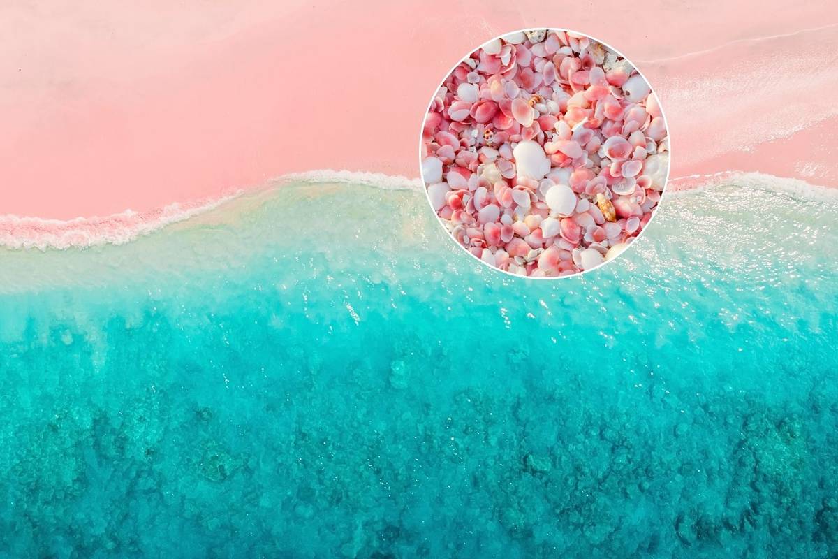 These Stunning Pink Sand Beaches In Asia Are Must Visits