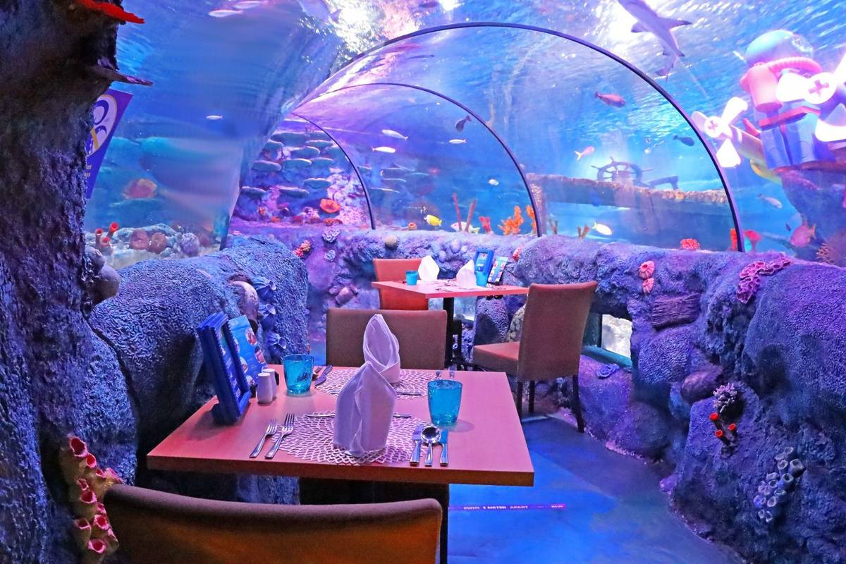 Malaysia's Only Underwater Dining Returns For 2026 (45 Mins From SG)