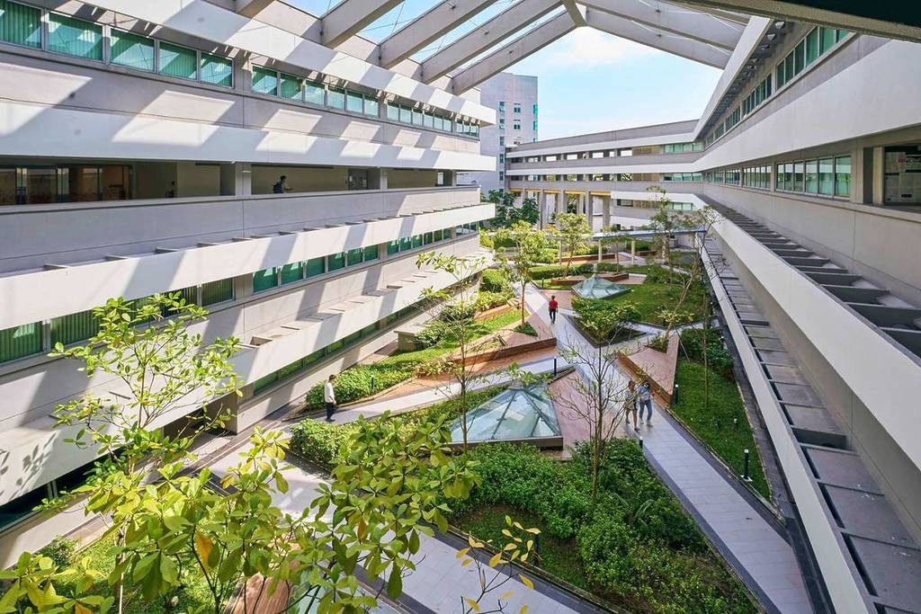 National University Of Singapore Named World's 17th Best University 2026