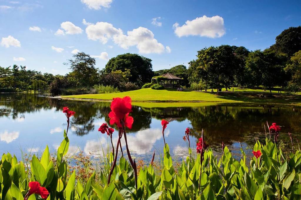 Eco Lake: Tiny Lake Hidden At Singapore's Only UNESCO Site