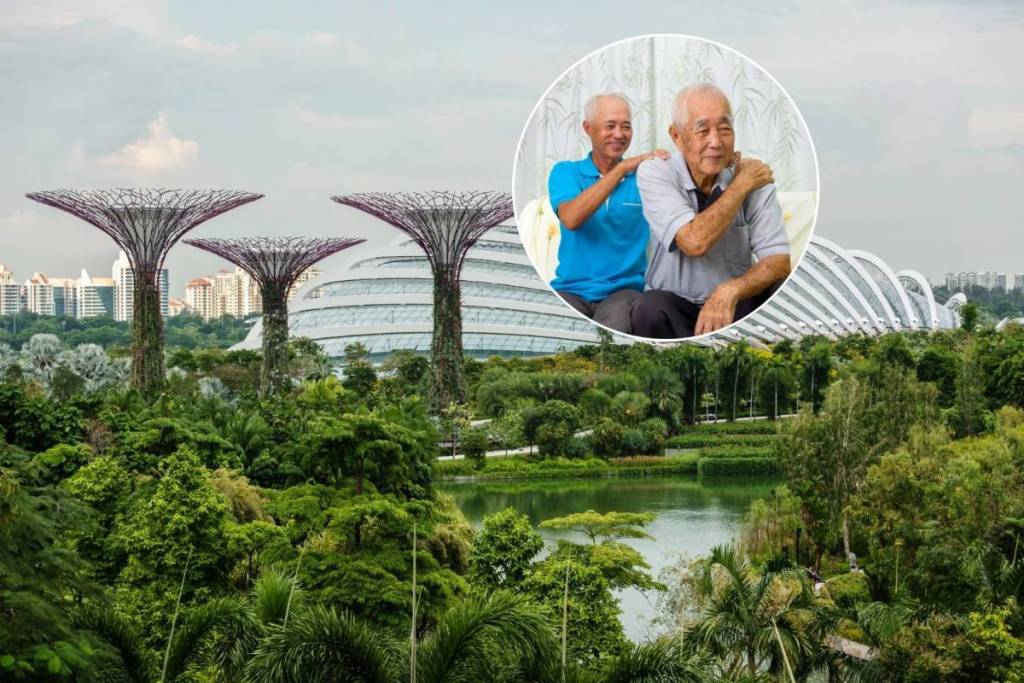 Singapore Life Expectancy Hits Record: Women Outlive Men