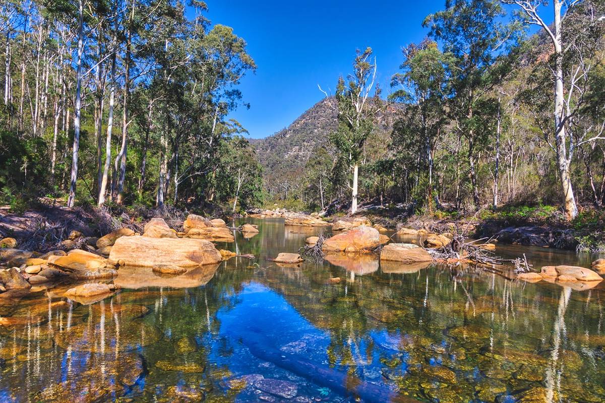 National Parks Near Sydney For Wonderful Days Out In The Wild