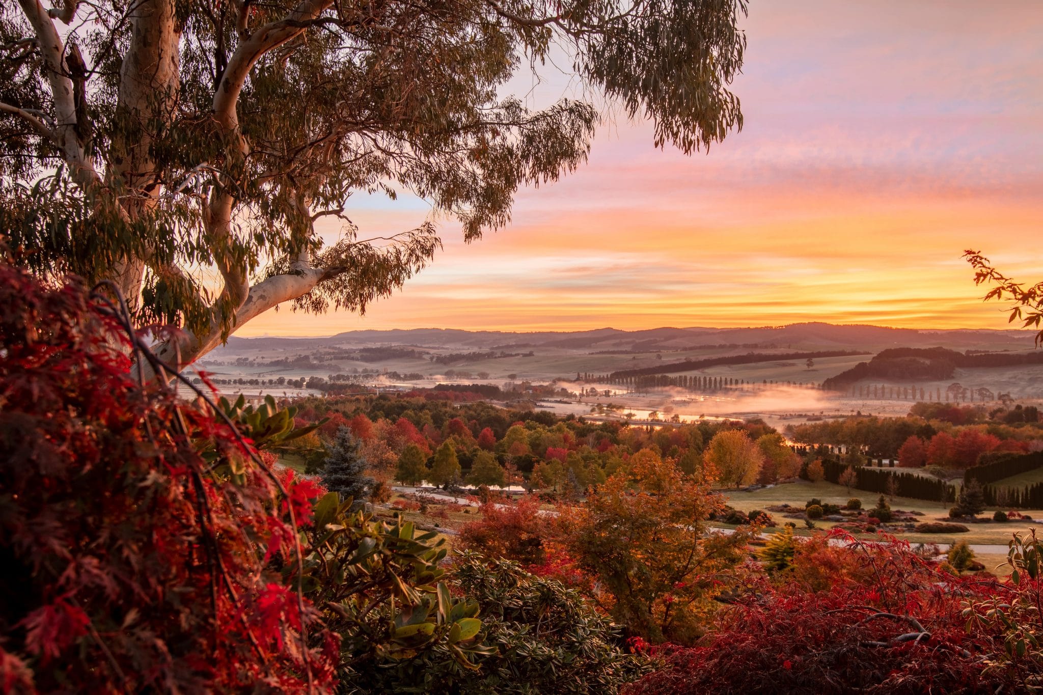 25 Incredibly Fun Things To Do In Sydney This April