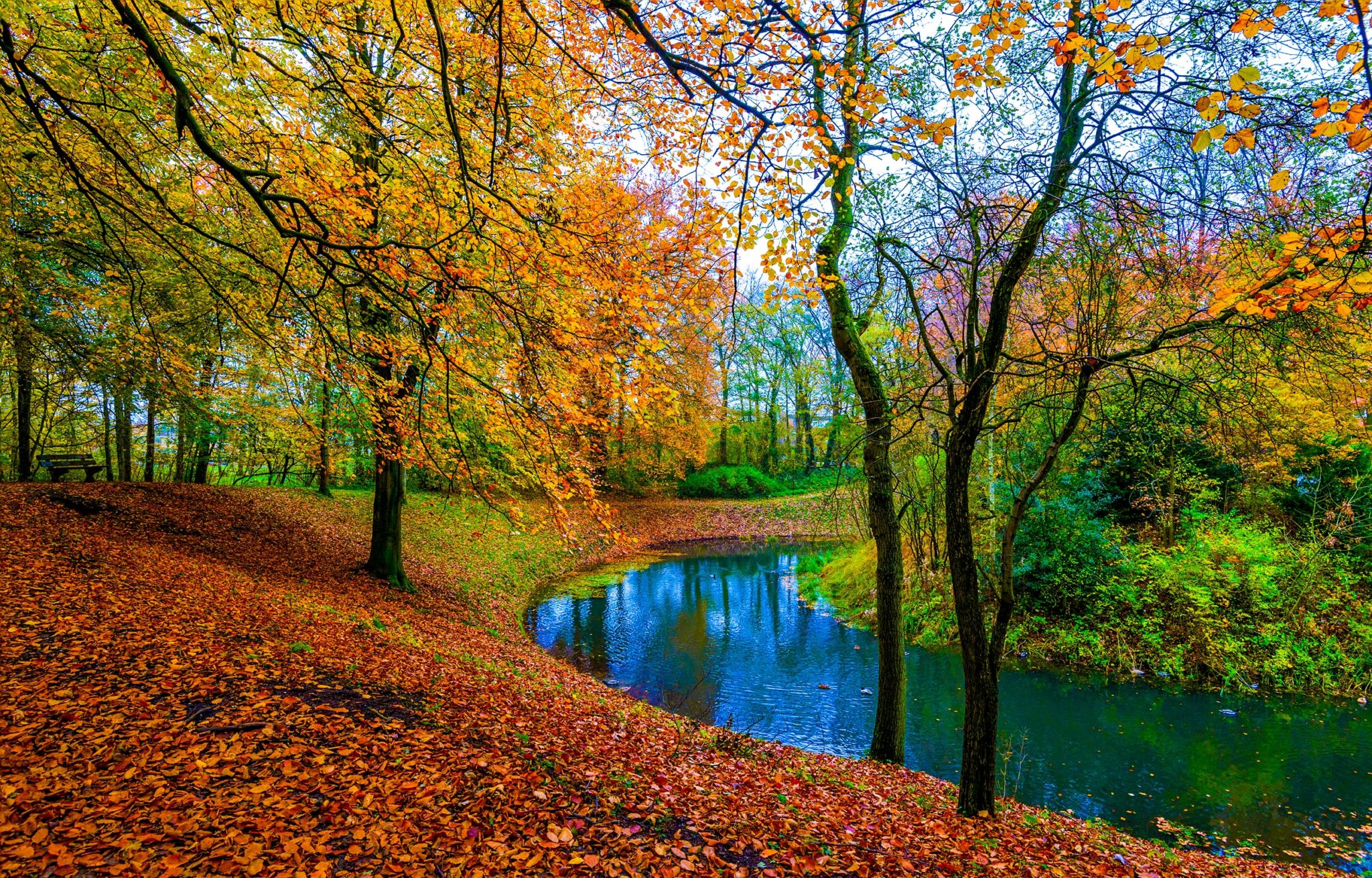 19 Striking Spots To See Autumn Leaves In And Around Sydney