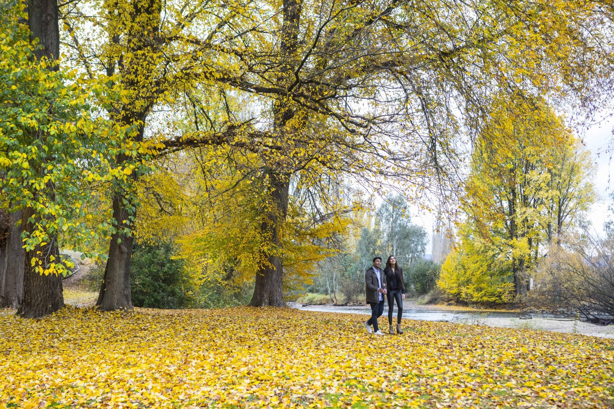 19 Striking Spots To See Autumn Leaves In And Around Sydney