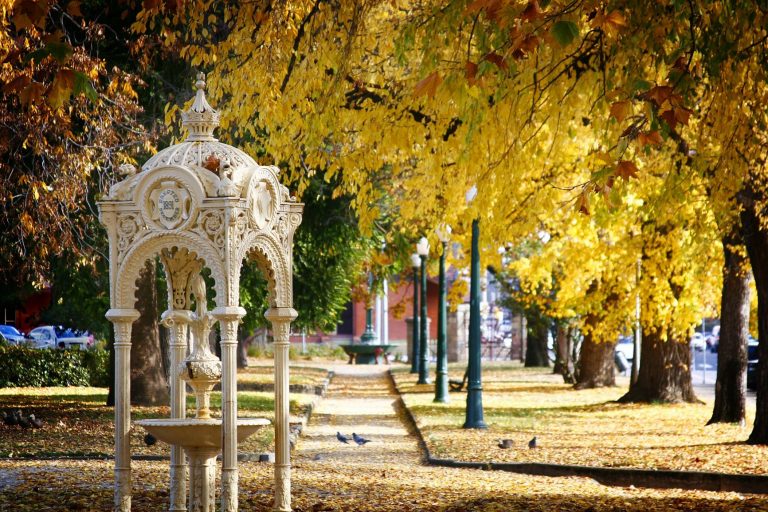 19 Striking Spots To See Autumn Leaves In And Around Sydney
