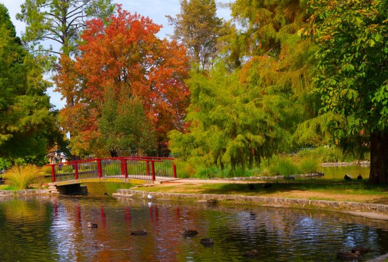19 Striking Spots To See Autumn Leaves In And Around Sydney