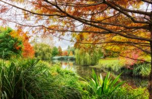 19 Striking Spots To See Autumn Leaves In And Around Sydney