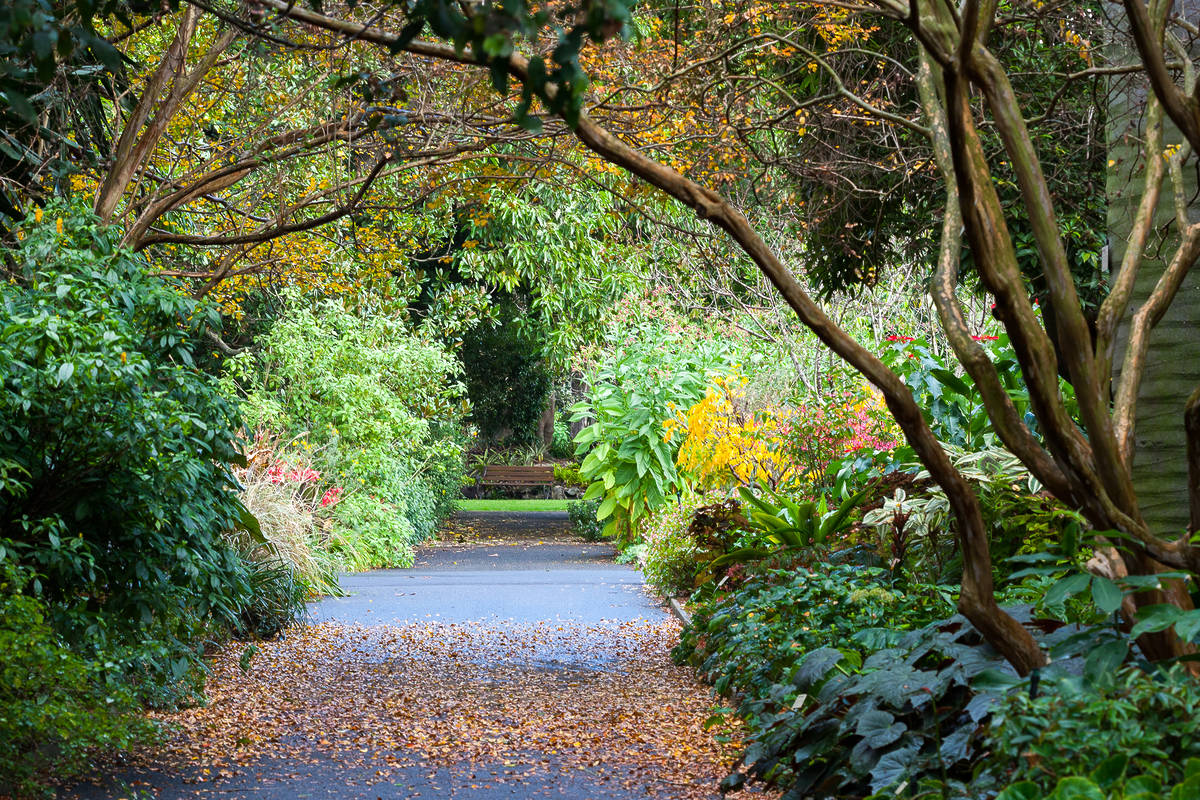 19 Striking Spots To See Autumn Leaves In And Around Sydney