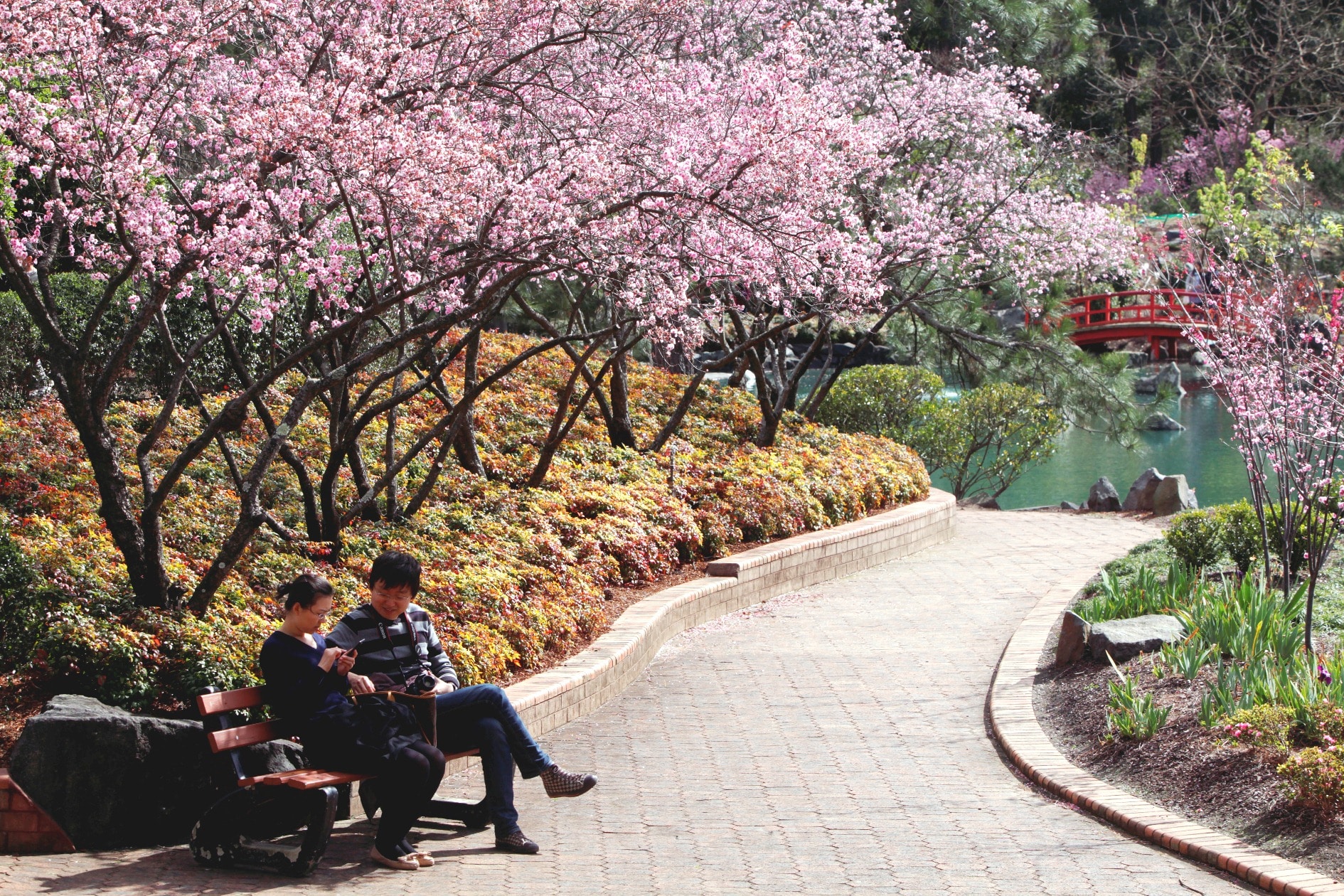 6 Sydney Gardens That Are Bursting With Colour This Spring