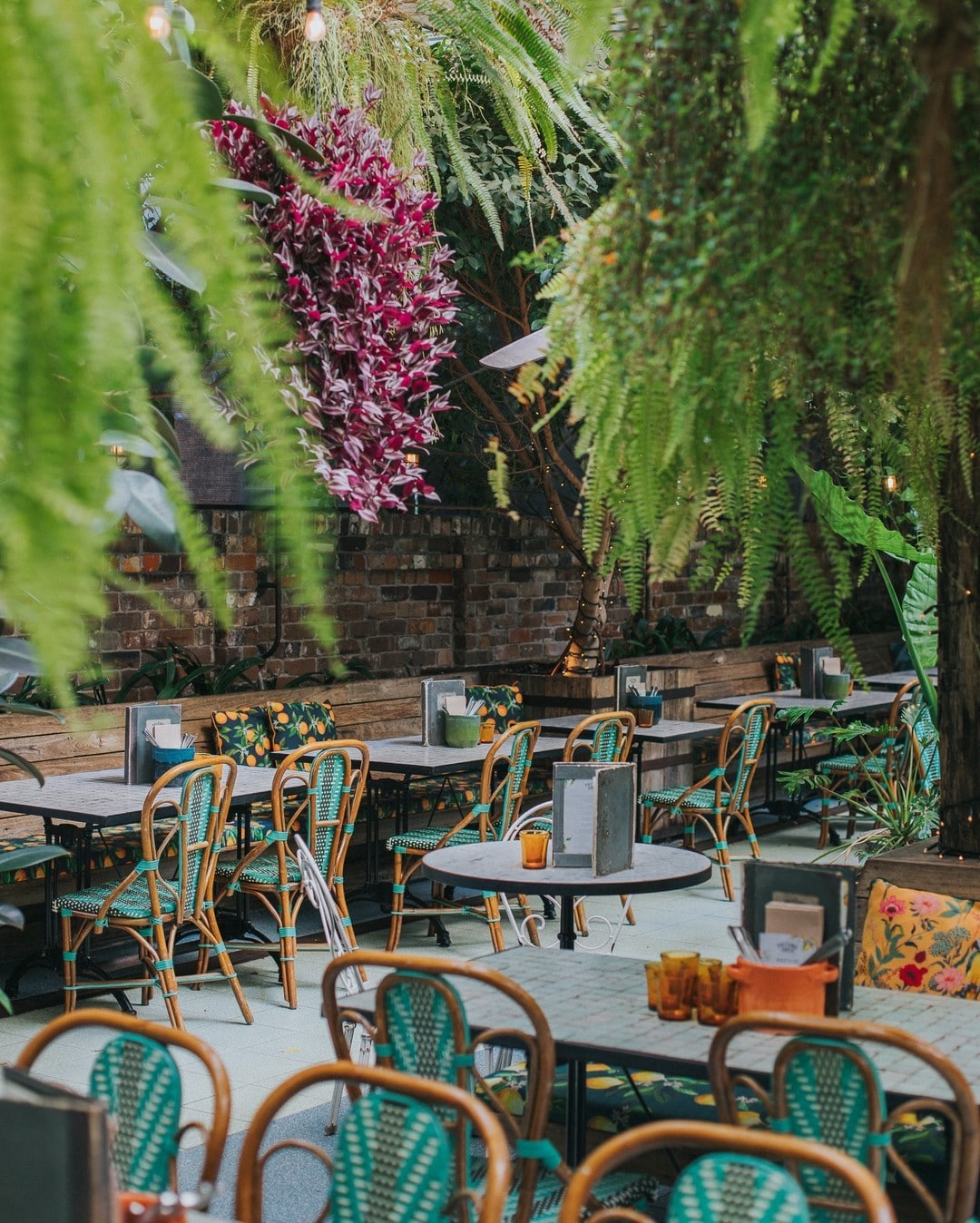 10 Excellent Leafy Green Bars And Restaurants In Sydney - Secret Sydney