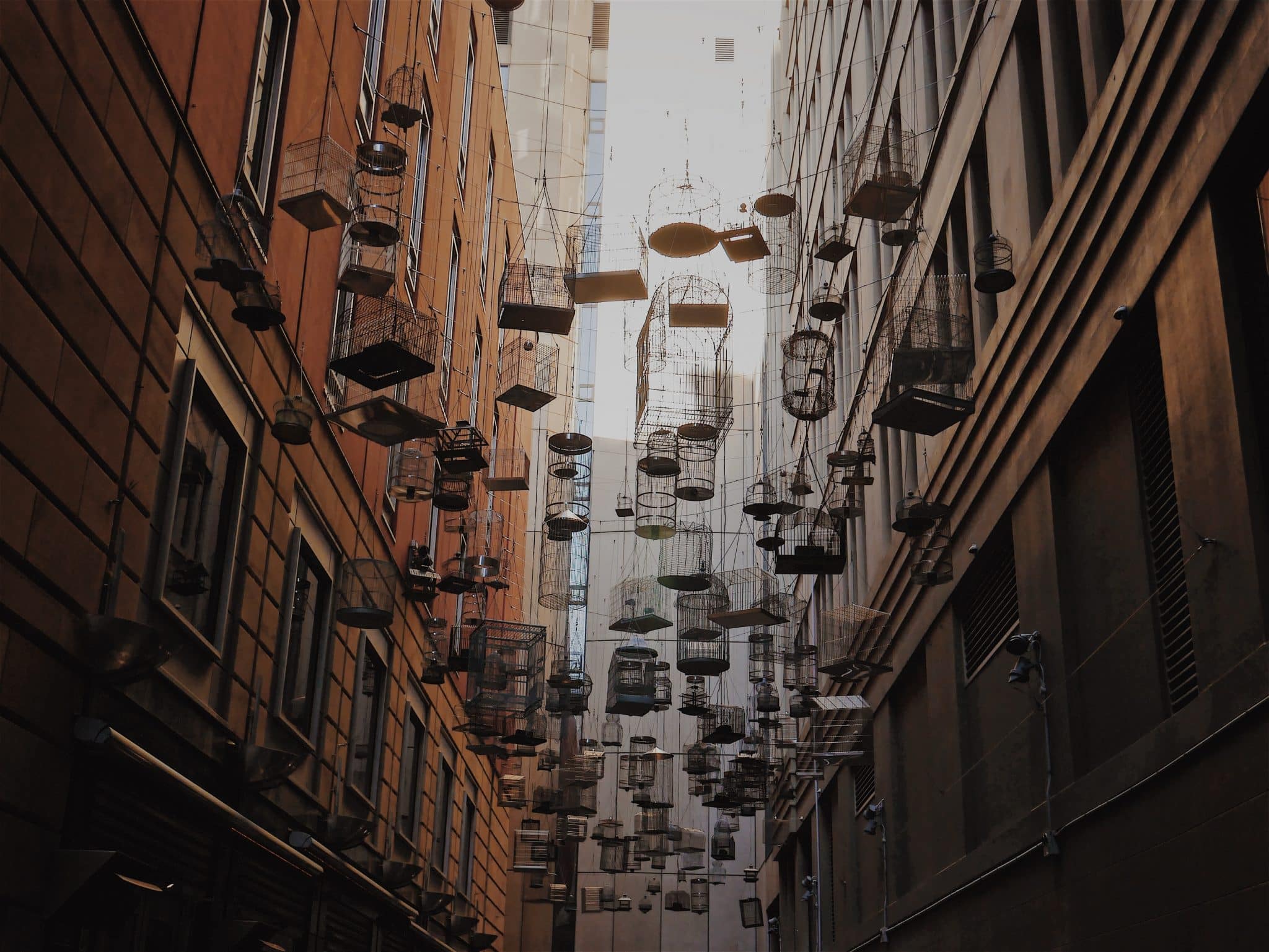 Forgotten Songs Installation: The Birdcages Of Angel Place