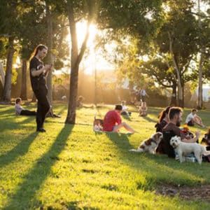Best Things To Do In Newtown, Sydney: From Bars To Bookshops