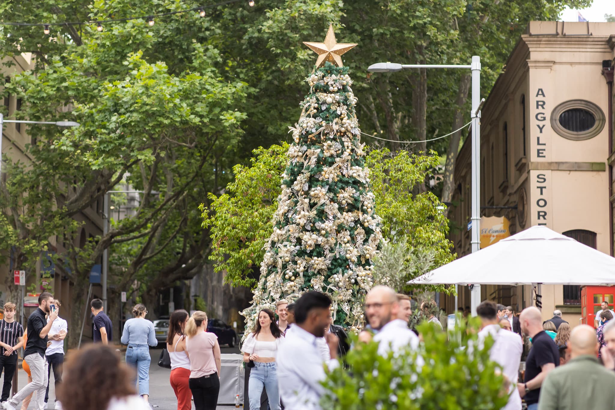 8 Magical Sydney Christmas Trees To See In 2023 - Secret Sydney