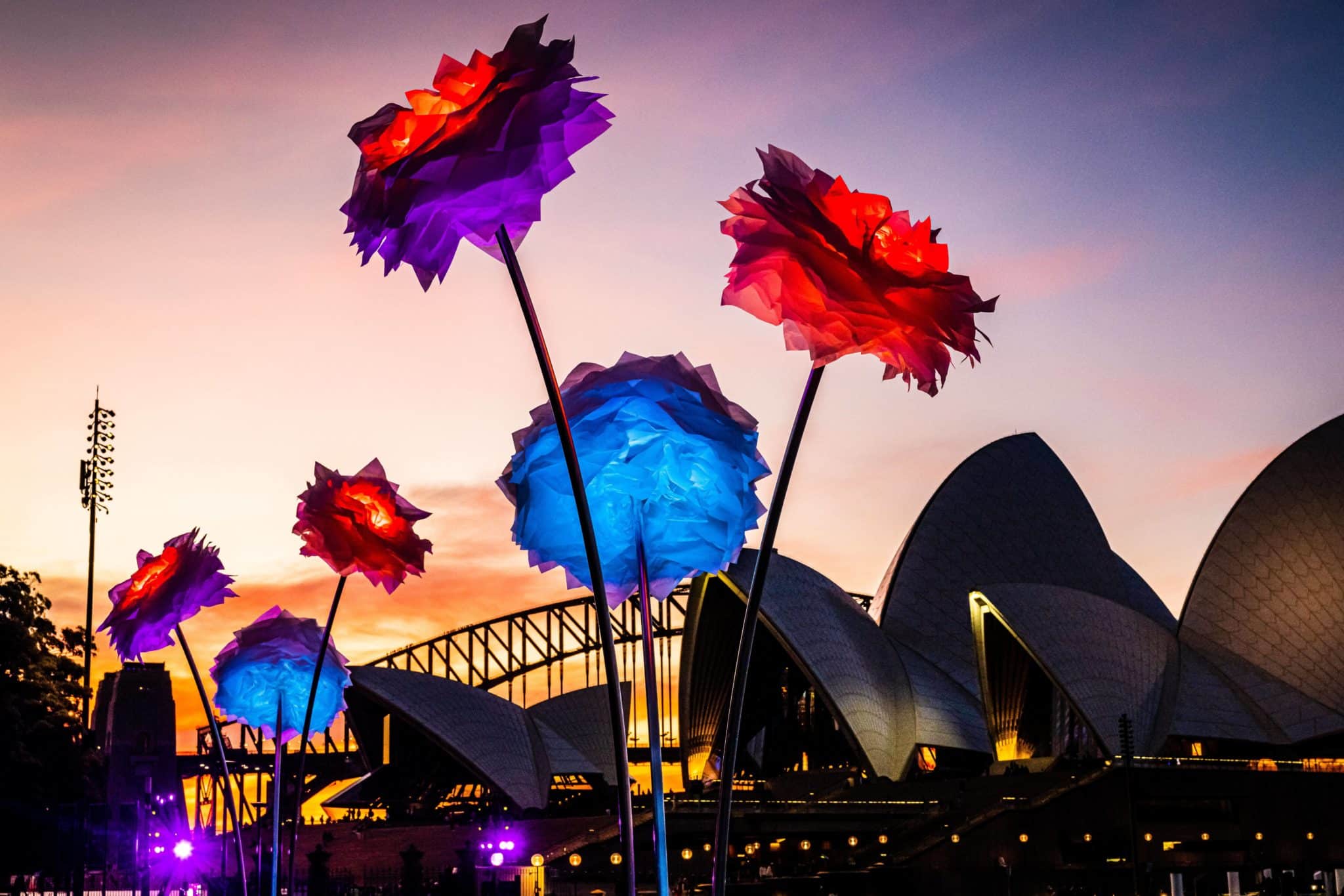 7 Picturesque Spots To See Vivid Sydney Lights Without The Crowds