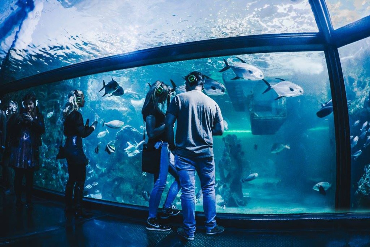 10 Captivating Immersive Experiences You Can't Miss In Sydney