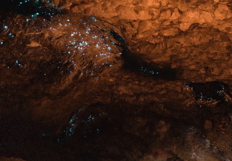 Glow Worm Caves: 5 Stunning Spots Near Sydney - Secret Sydney