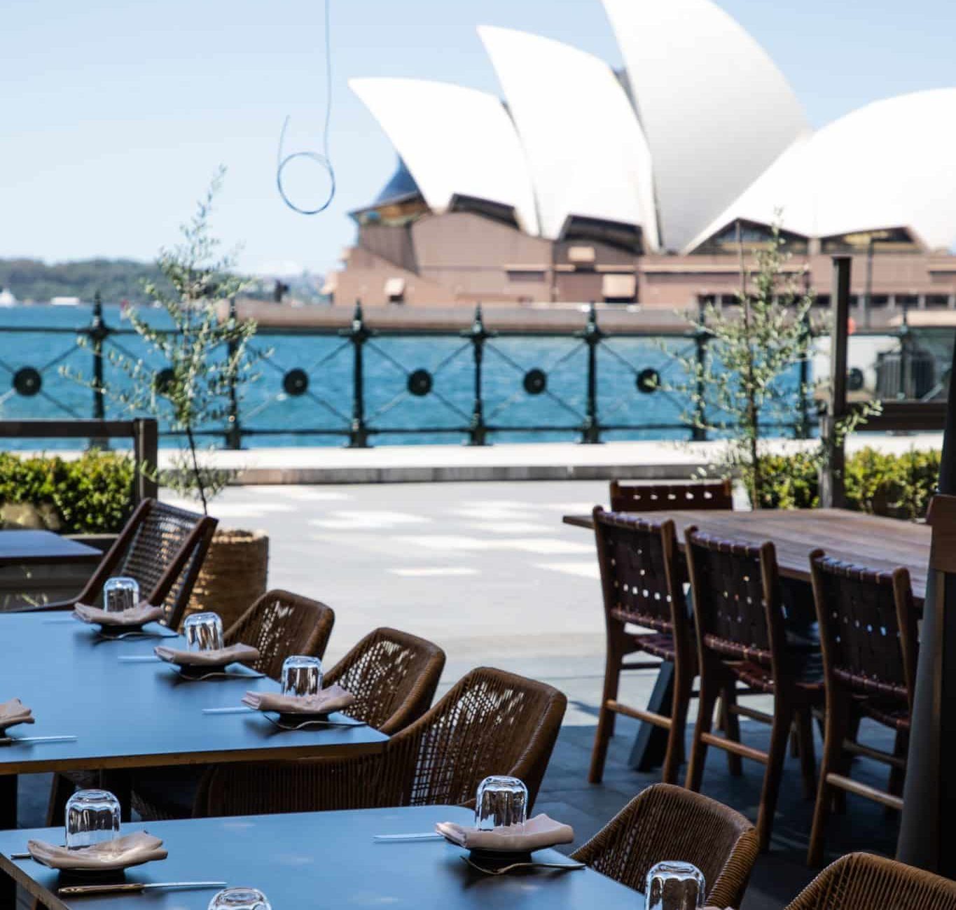 View The Vivid Festival Lights At These Top 8 Spots In Sydney