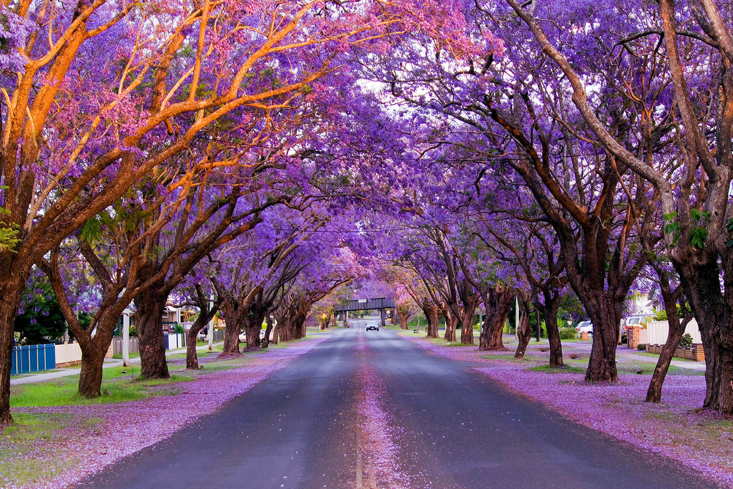The Prettiest Spring Towns To Visit In NSW