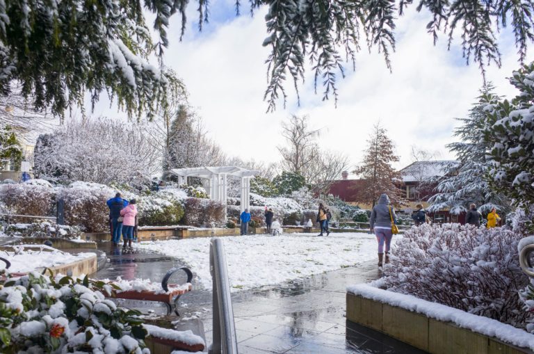 40 Incredible Winter Activities In Sydney - Secret Sydney