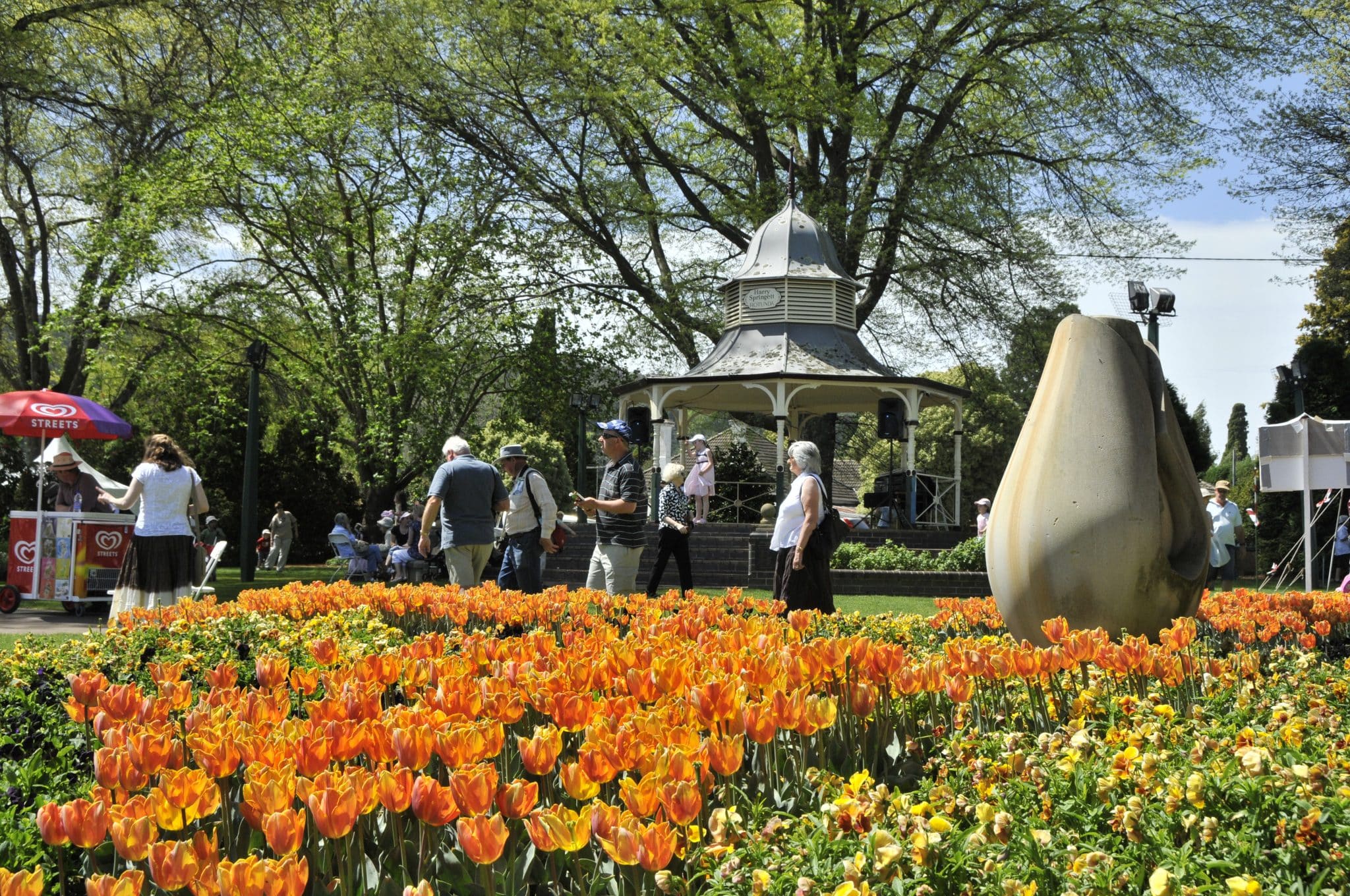 9 Delightful Spots Near Sydney To See Spring Flowers In Full Bloom