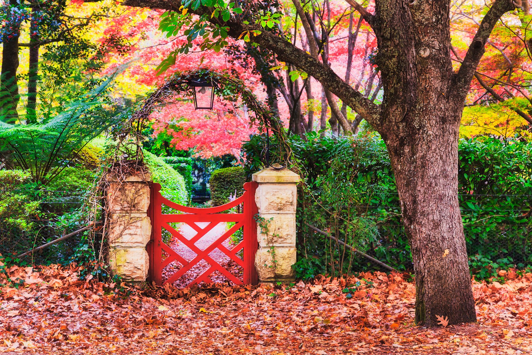 Weekend Getaways From Sydney That Show Off The Best Of NSW