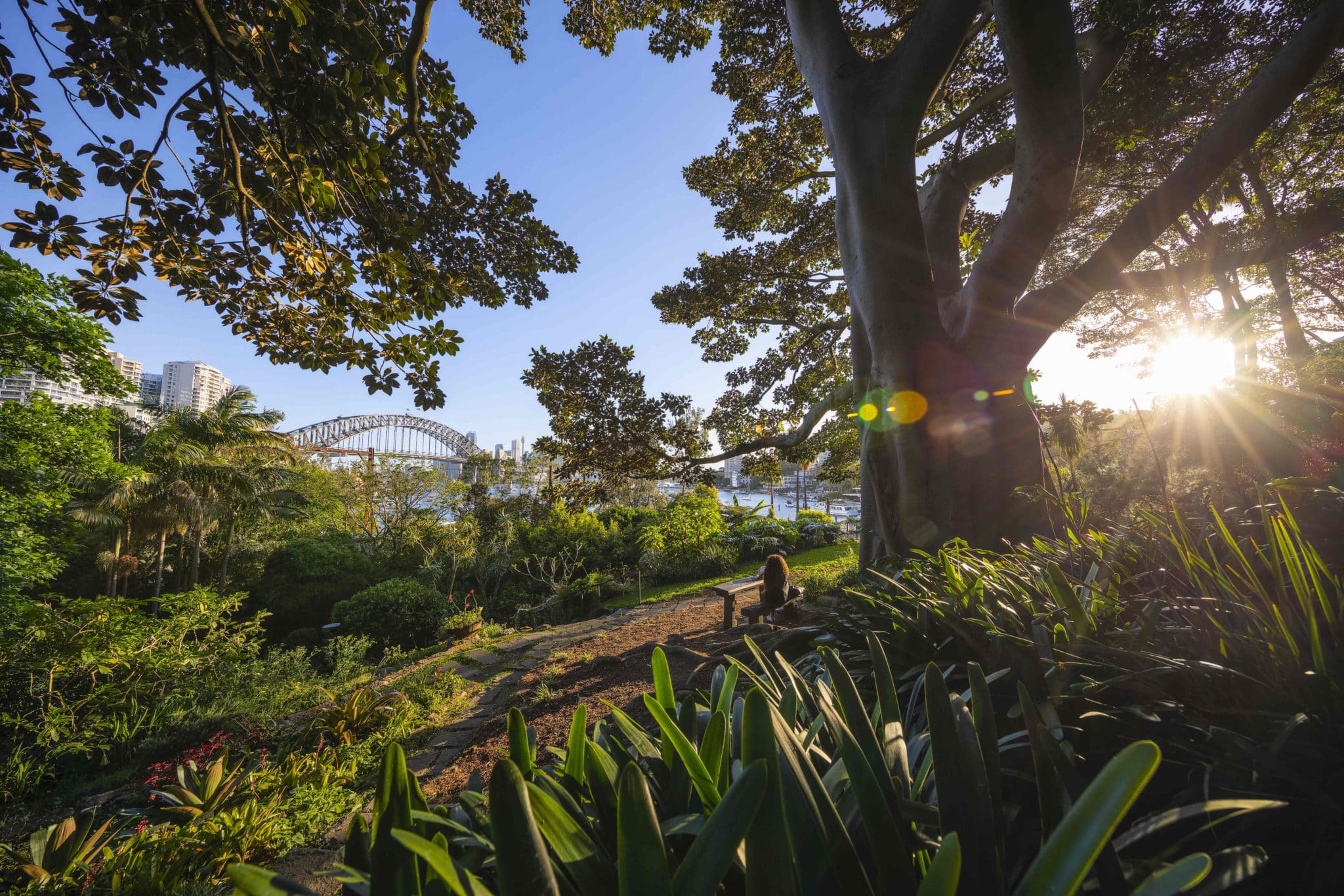 The Best Things To Do With Kids In Sydney, All Year Round