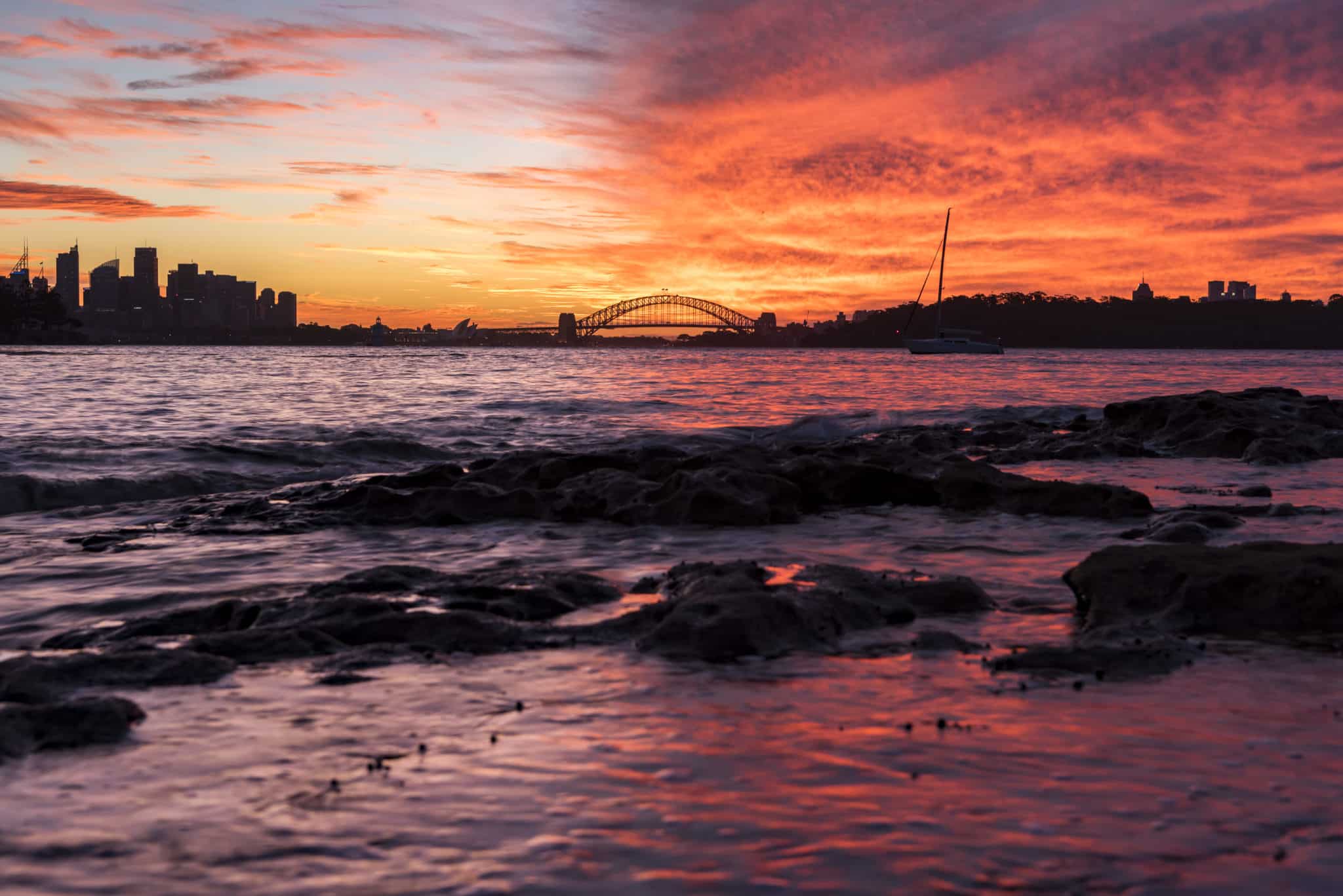 This Secluded Beach Boasts A Million-Dollar View Of Sydney Harbour