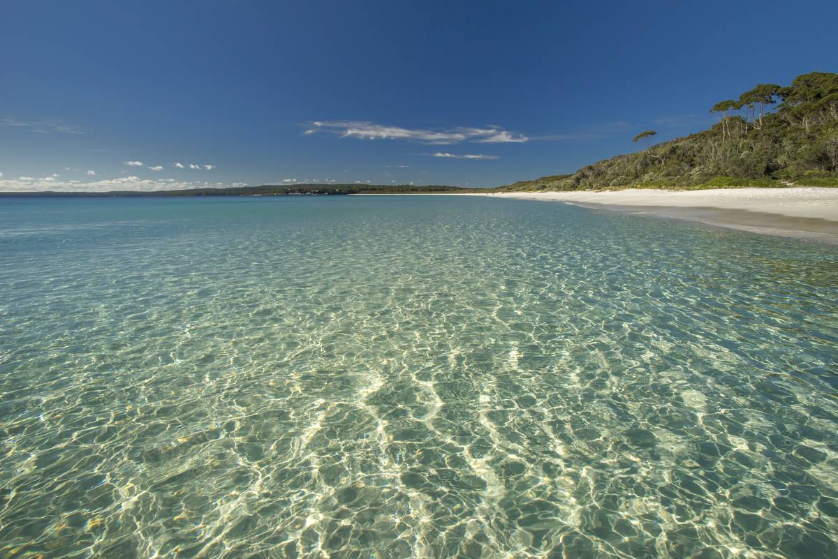 This NSW Beach Has Some Of The Clearest Water In The World - Secret Sydney