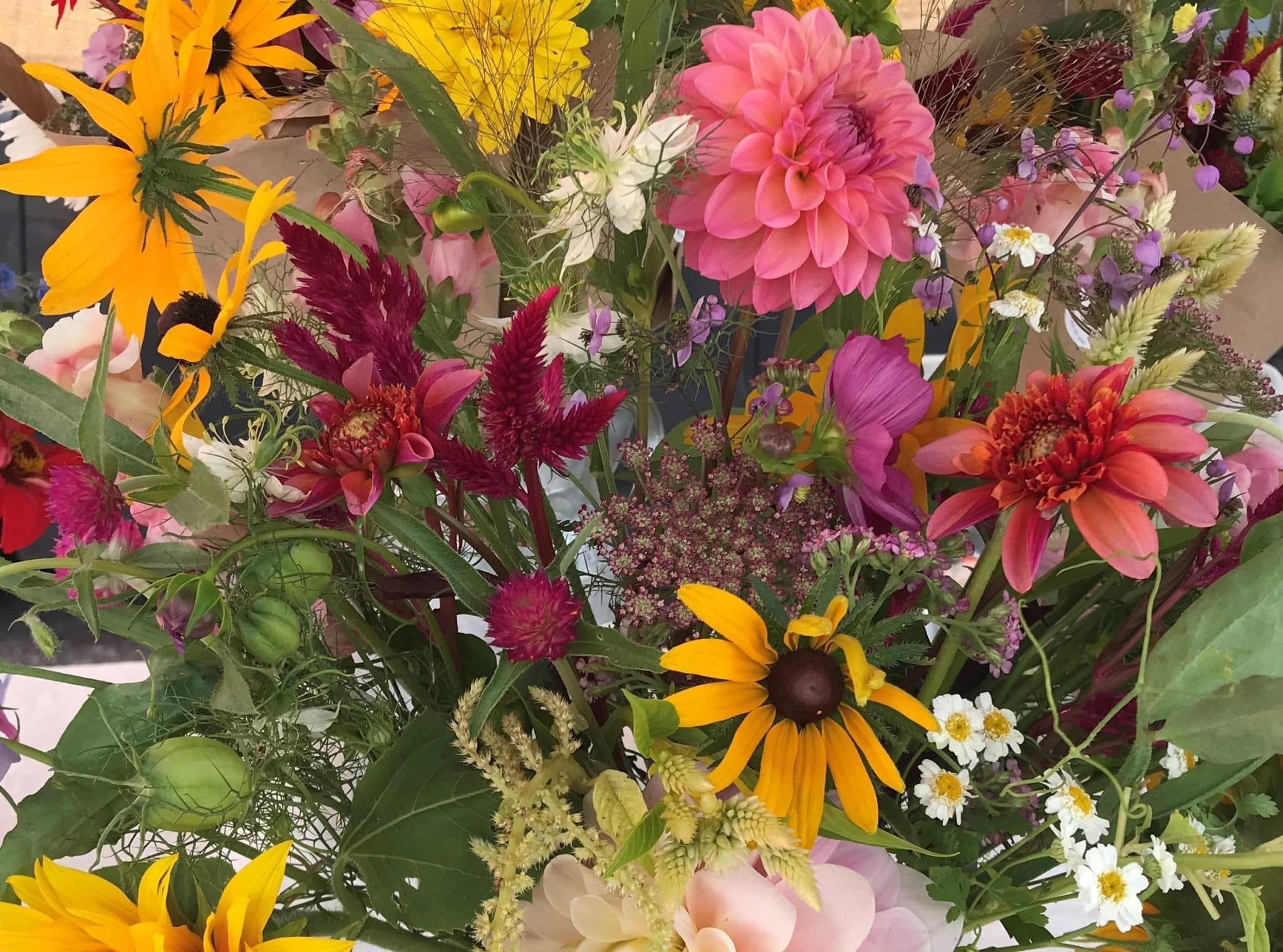 5 Lovely Places To Go Flower Picking Near Sydney This Spring And Summer