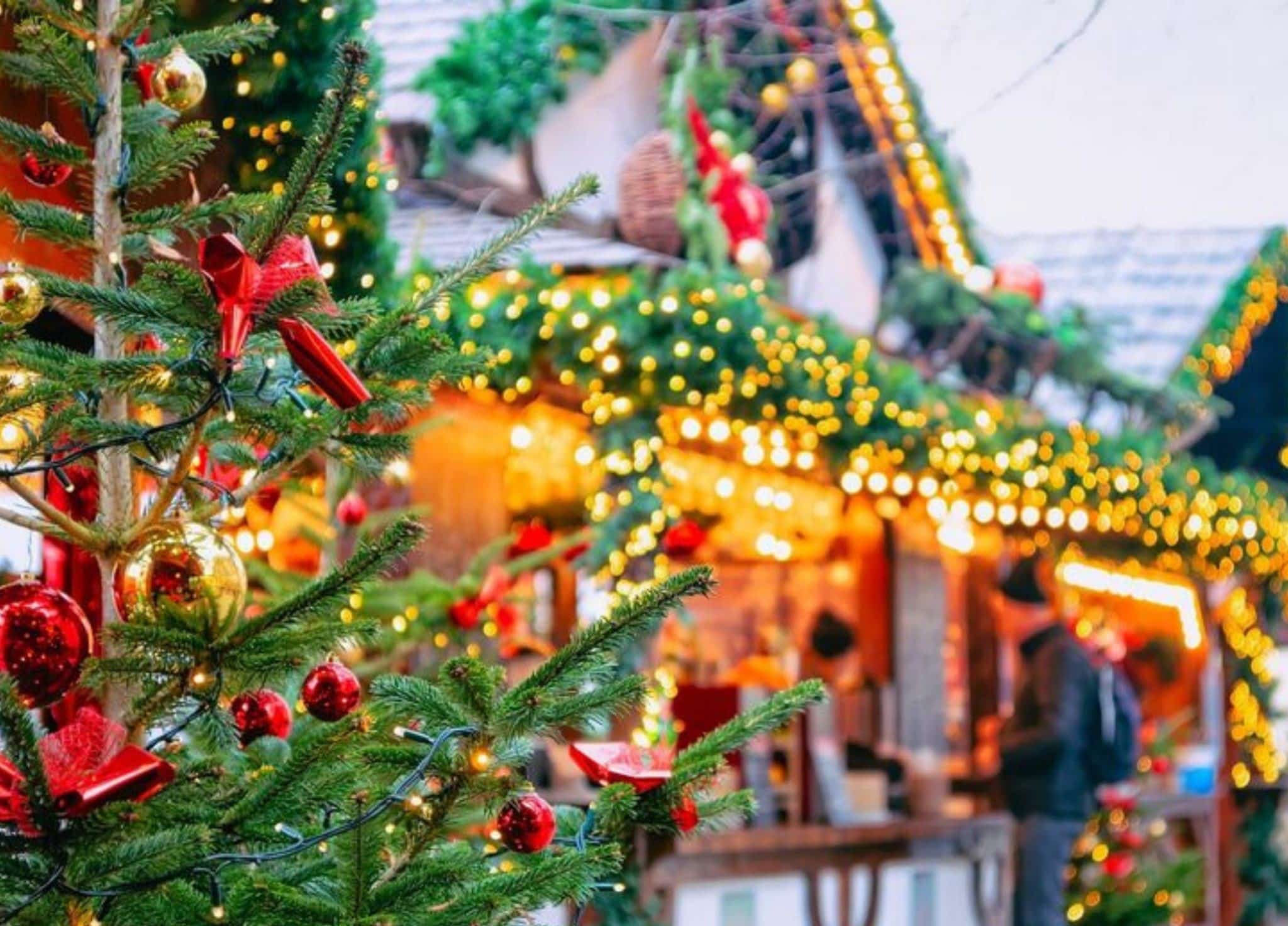 19 Incredibly Festive Things To Do In Sydney This Christmas
