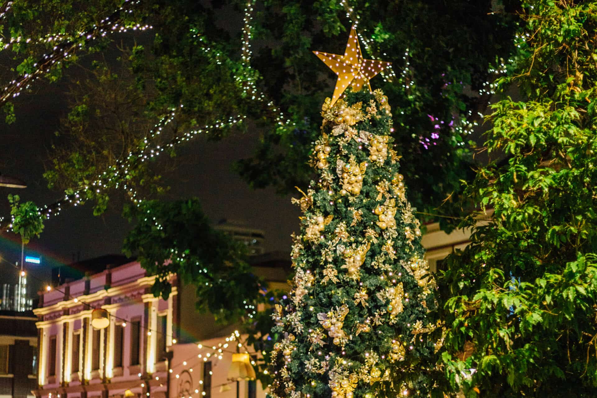 15 Incredibly Festive Things To Do In Sydney This Christmas
