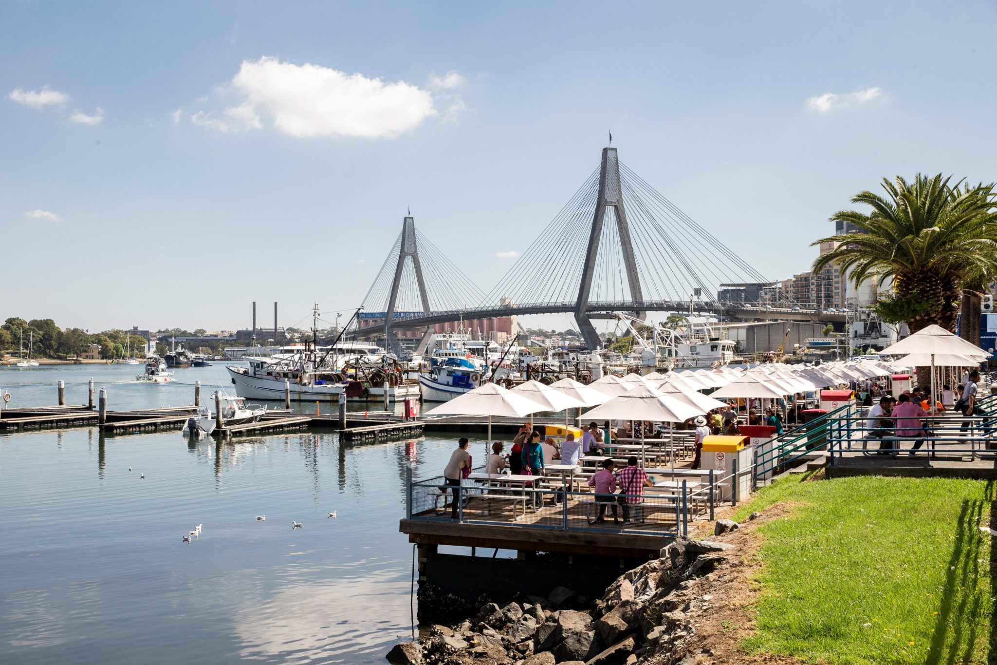 Sydney Fish Market Is Bringing Back Its Massive 36-Hour Seafood ...