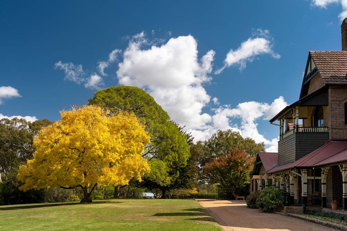 Autumn Trips To Take Across NSW When The Leaves Fall