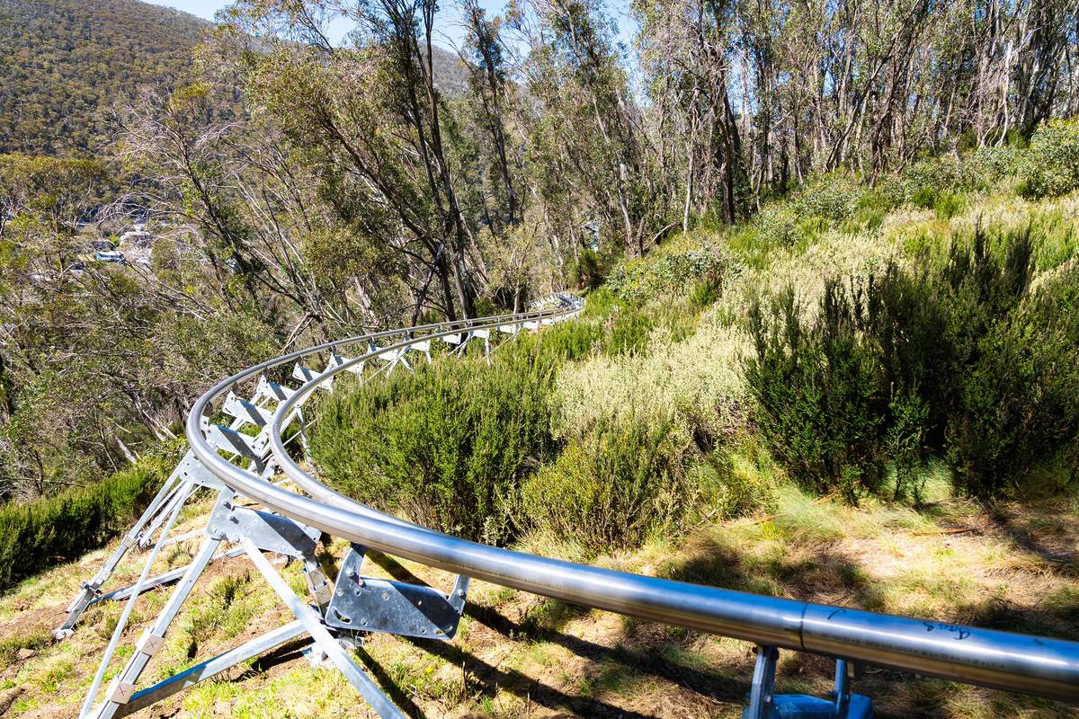 Thredbo Has The Southern Hemisphere's First-Ever Alpine Coaster