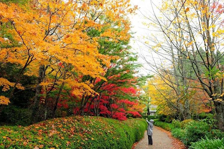 6 Perfect Autumnal Spots In The Blue Mountains - Secret Sydney